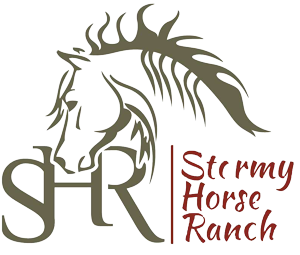 Stormy Horse Ranch | Königsstein - Über Uns